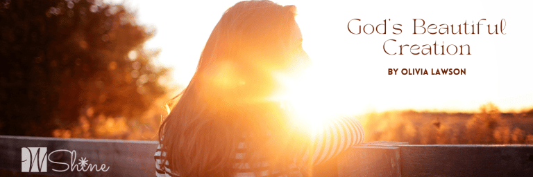 God’s Beautiful Creation – Shine!